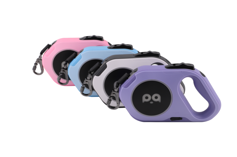 Beyond a Logo: What Are Your Real Options for Personalized Dog Leashes ...
